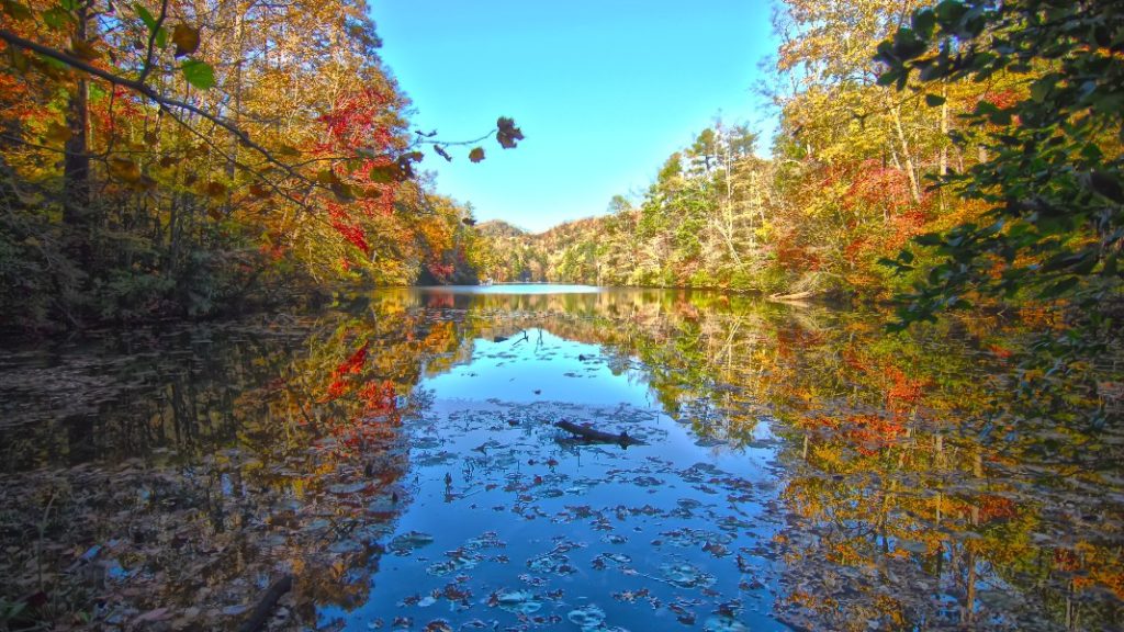 Water - The City of Asheville