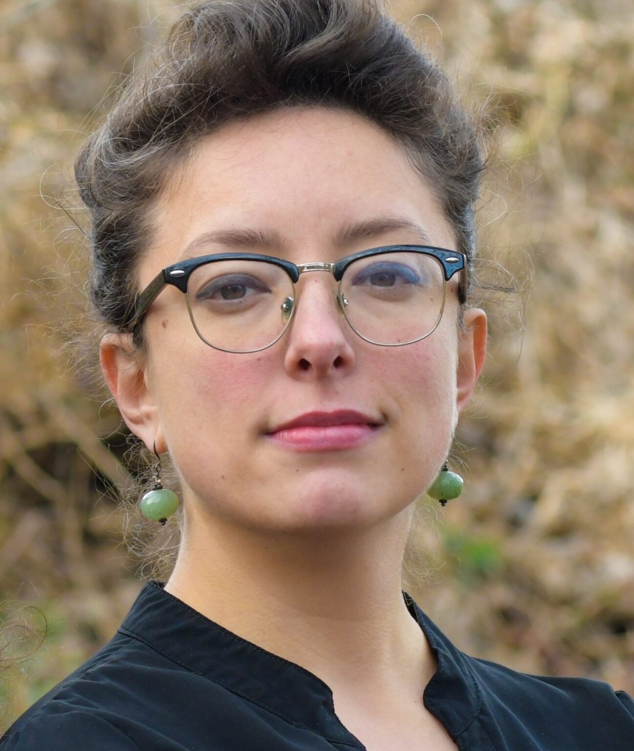 Historic all-woman City Council to lead Asheville’s government - The ...