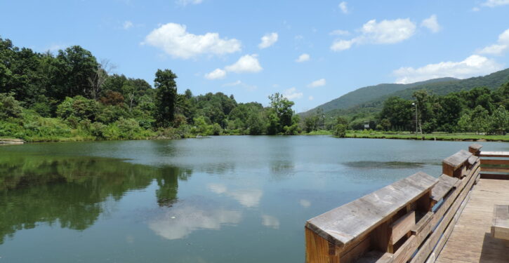 Azalea Park - The City of Asheville