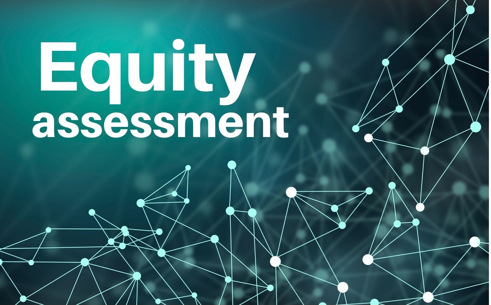 Equity and Inclusion Assessment presented to Asheville City Council ...