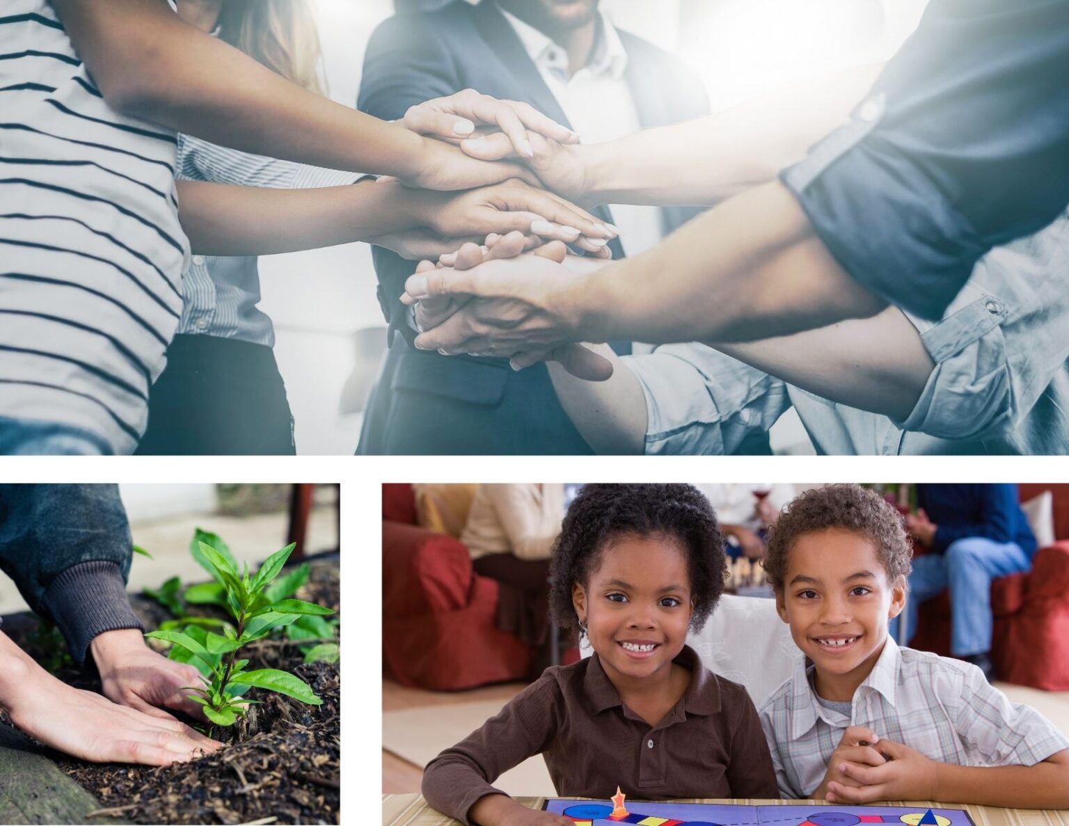 Neighborhood Matching Grants - The City of Asheville