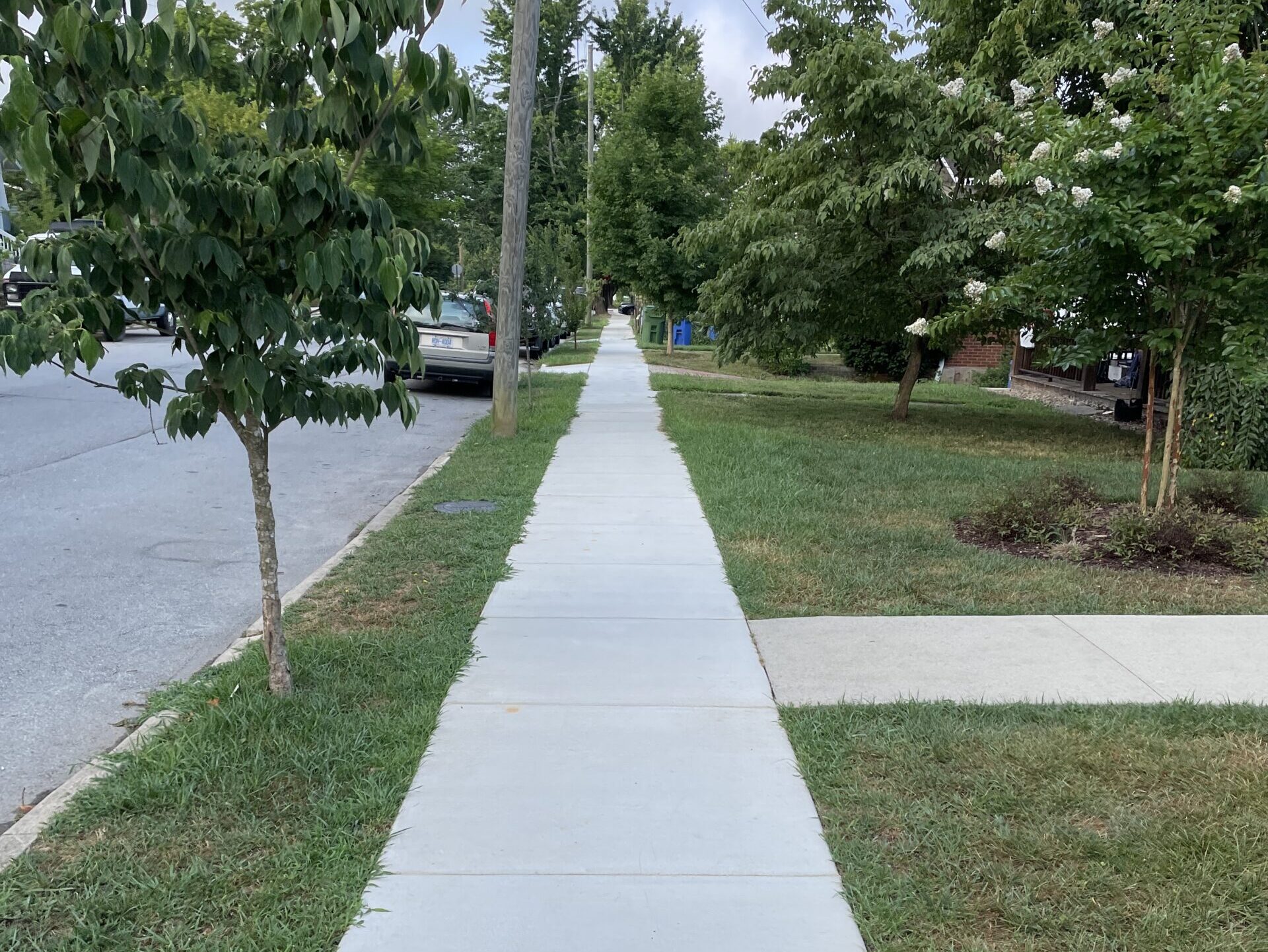 Vermont Avenue Sidewalks - The City of Asheville