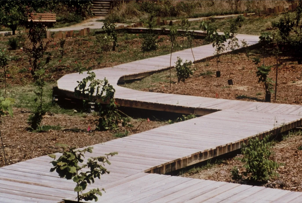 Park Views: Dr. George Washington Carver Edible Park - The City of ...