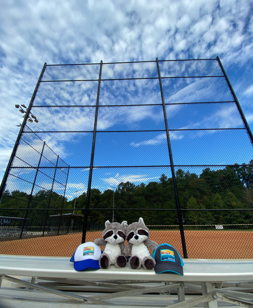 Park Views: Ray L. Kisiah Park - The City of Asheville